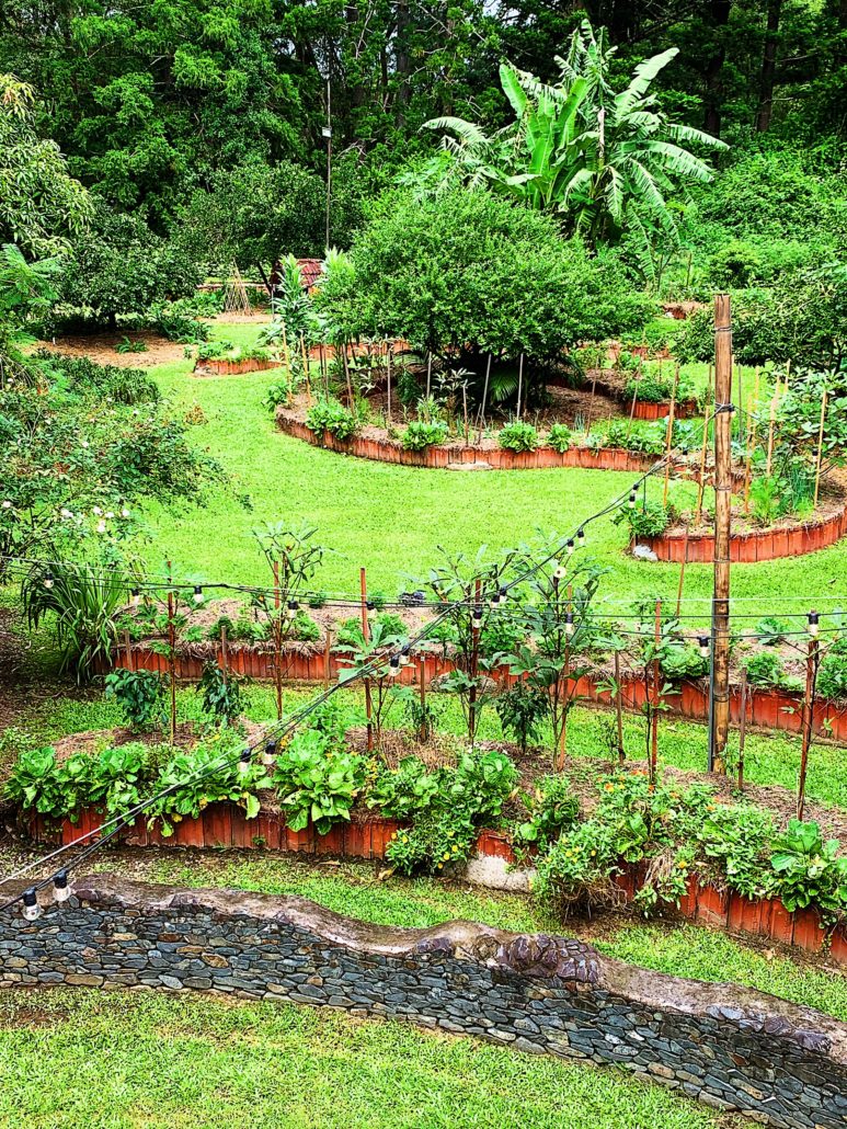 TO EAT: MAVIS'S KITCHEN - Taste Byron Bay